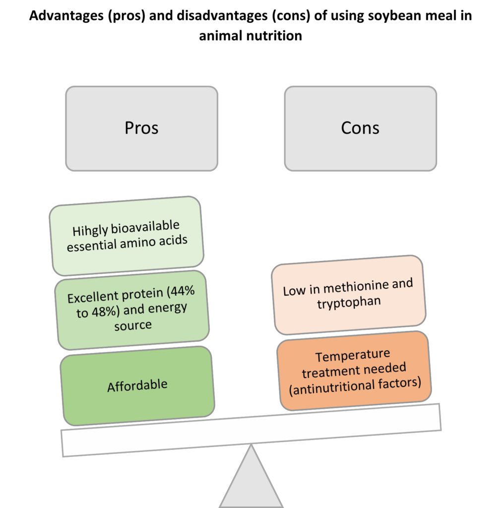 Soybean meal is the protein source of choice for poultry diets